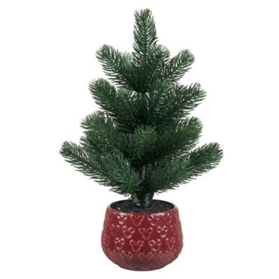 Mickey Mouse Family Tree